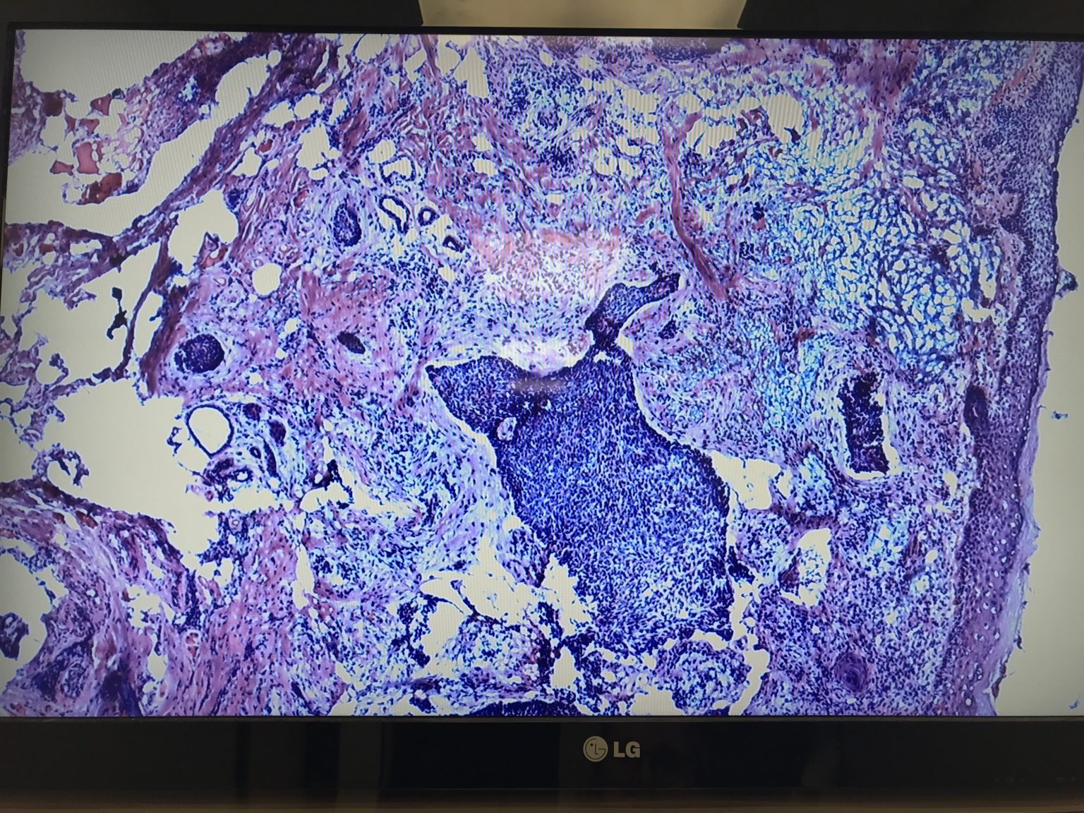 The Beautiful Blue Cell | Living Science Academy